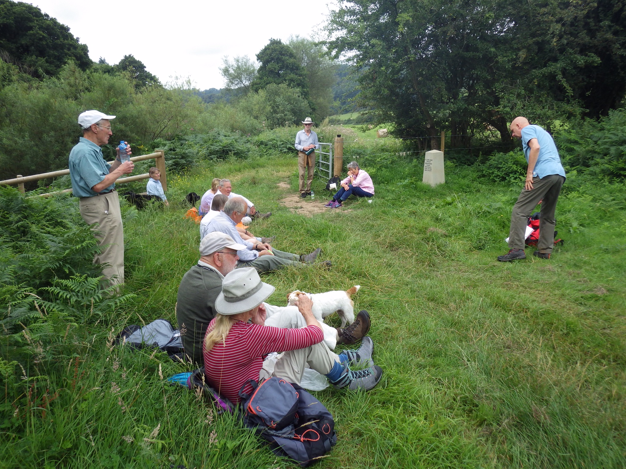 A Walk to the Halifax Bomber Crash Site. – Whitchurch and Ganarew Area ...