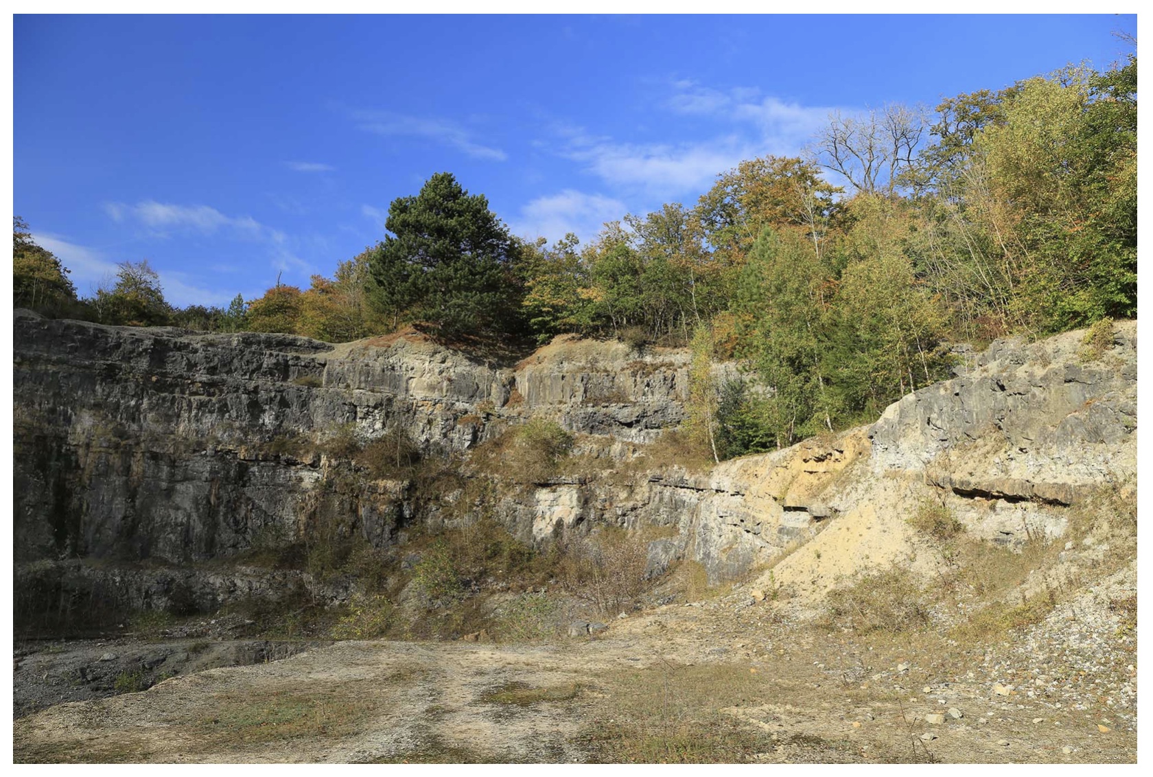 Lord’s Wood Quarry. – Whitchurch and Ganarew Area History Society